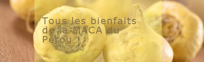 Bienfaits Maca Bio Pérou | Objectif Solution Naturelle