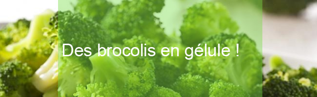 Extrait Brocoli en gélule | Objectif Solution Naturelle