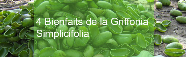 4 Bienfaits de la Griffonia | Objectif Solution Naturelle