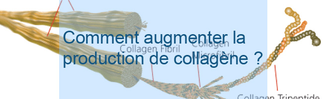 Augmenter production collagène | Objectif Solution Naturelle